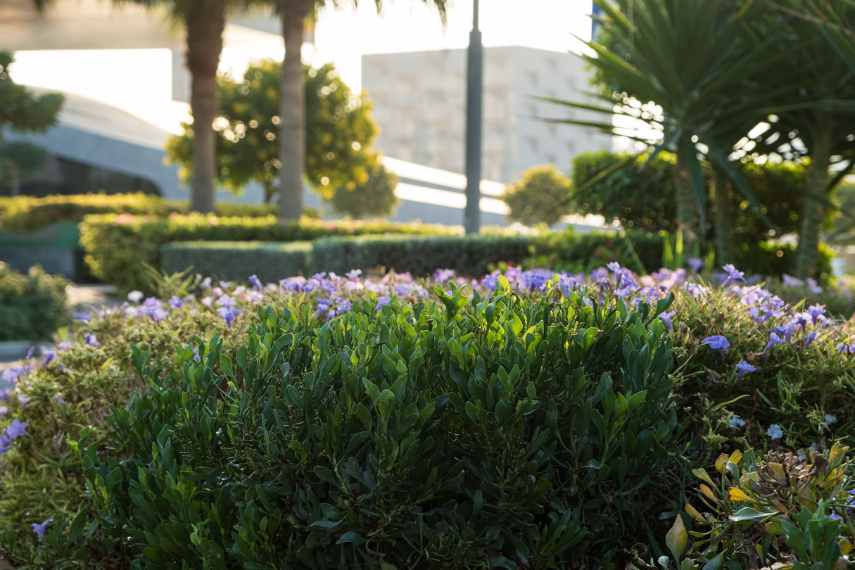 Bahrain Bay - The Gardens